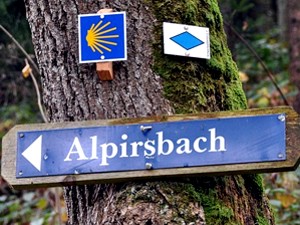 Kinzig (Fluss im Schwarzwald)